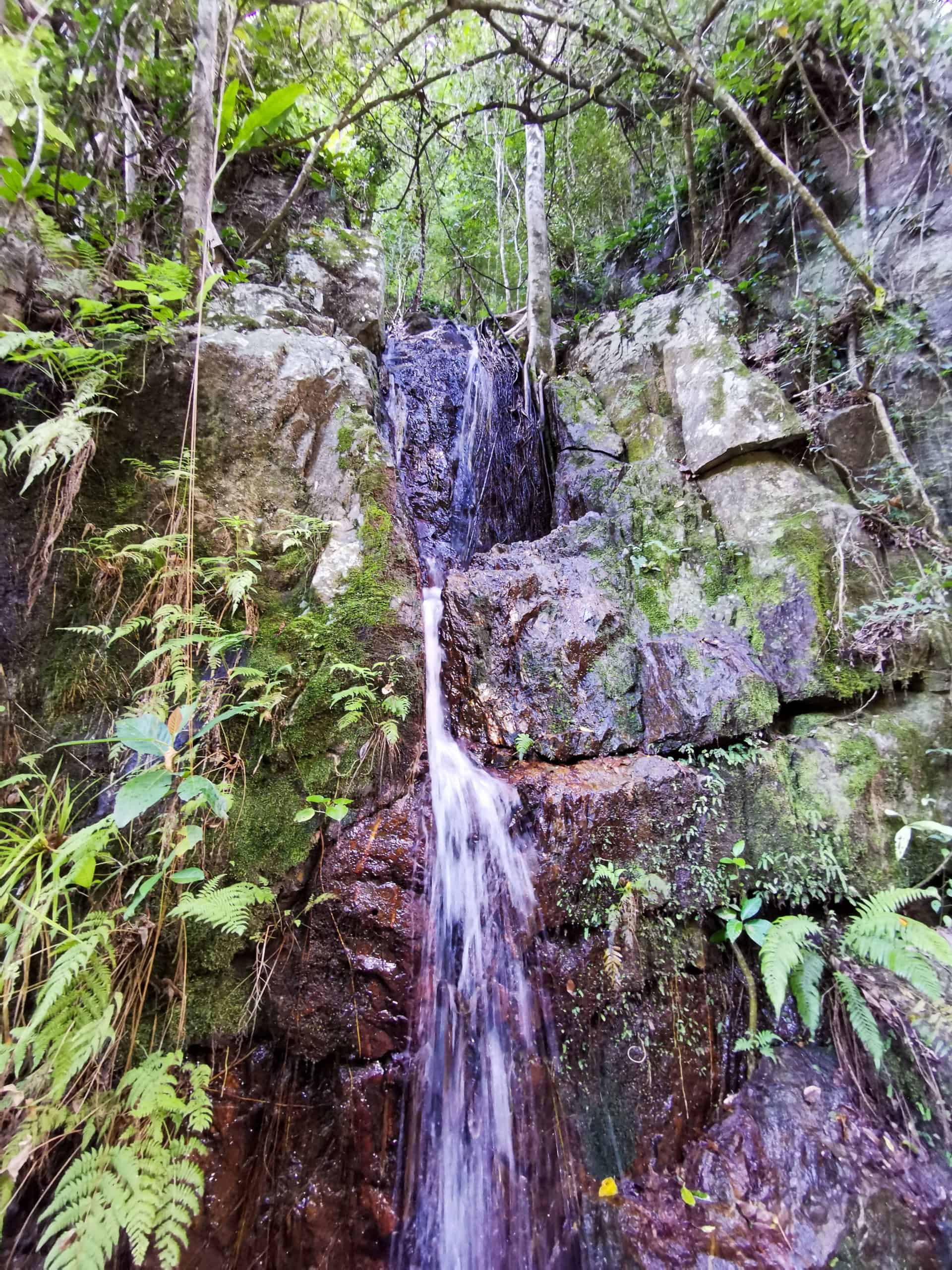 The Best Walks and Hikes In Cairns • Travel Mermaid